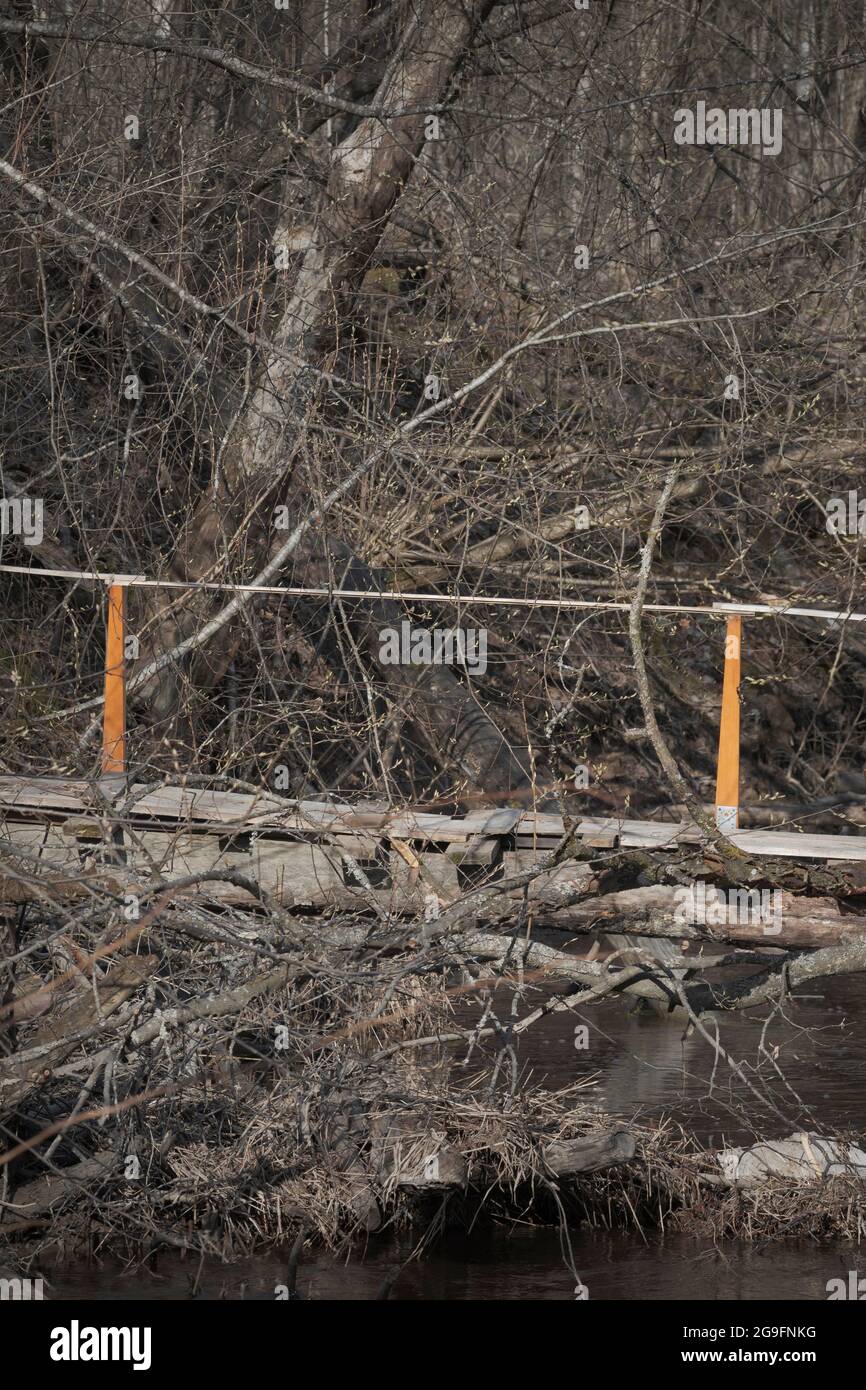 Handmade wooden bridge across a forest river. Early spring Stock Photo ...