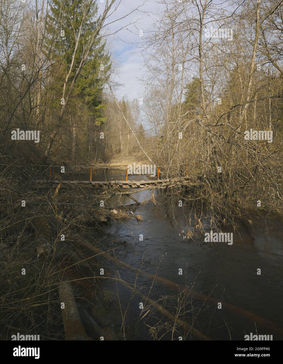 Handmade wooden bridge across a forest river. Early spring in a mixed ...