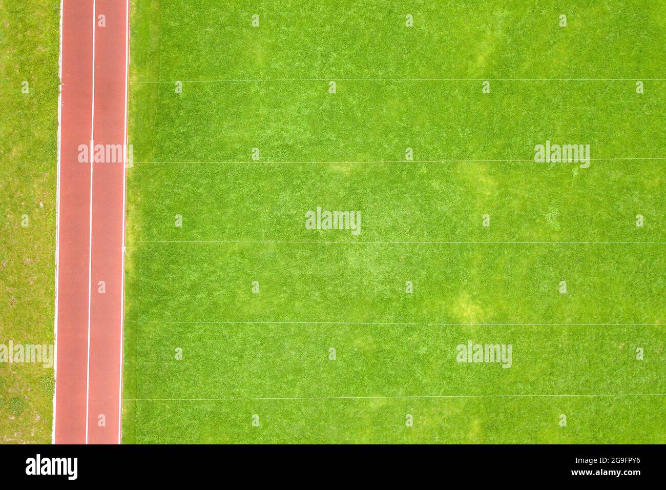 Aerial view of surface of green freshly cut grass on football stadium ...