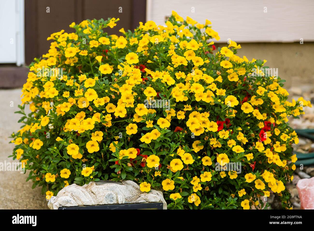 Overflowing Plants High Resolution Stock Photography and Images - Alamy