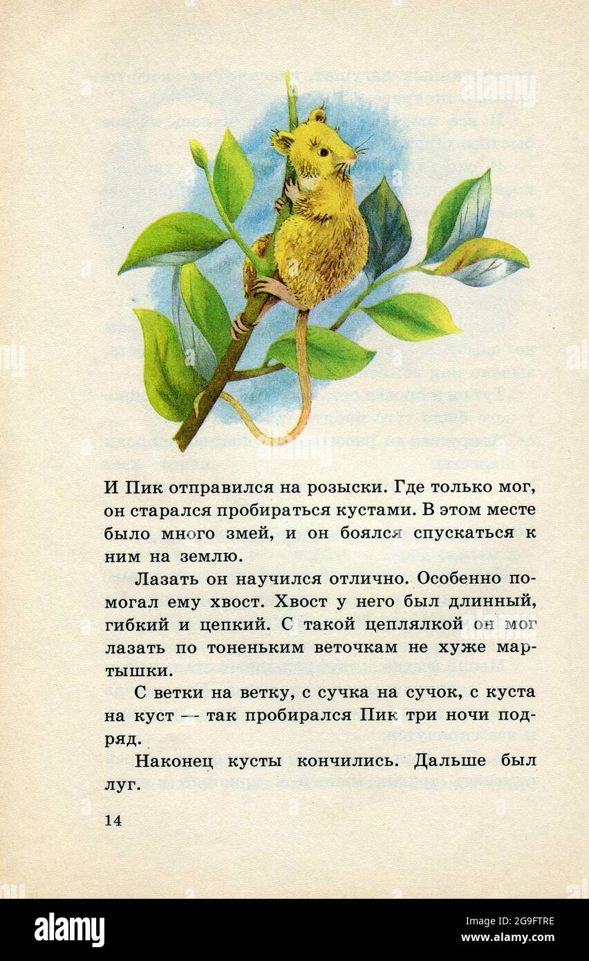 The Russian folk tale "Mouse Peak", by Vitaly Valentinovich Bianki ...