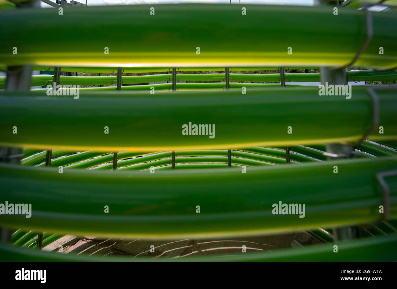 Microalgae cultivation hi-res stock photography and images - Alamy