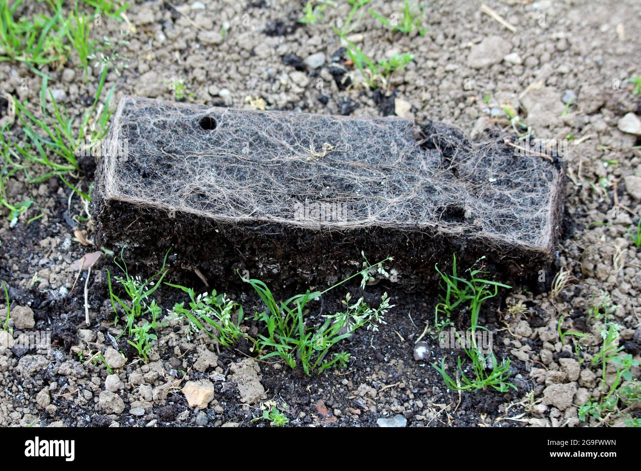 Plants roots mesh hi-res stock photography and images - Alamy