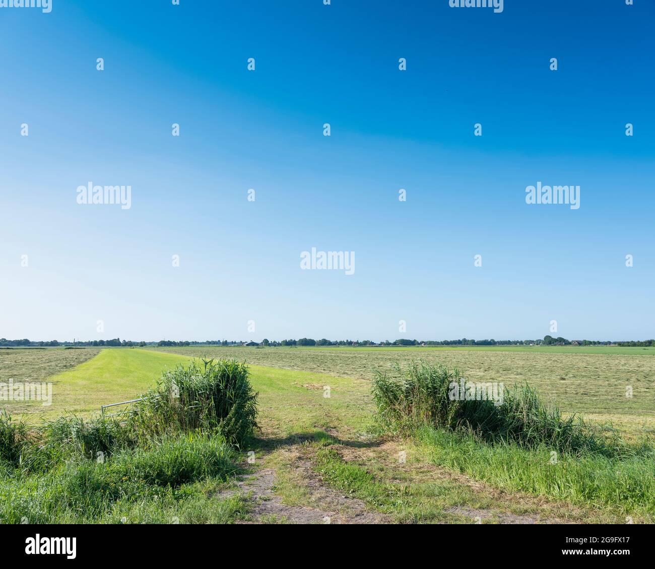 entrance to green meadow with mown grass on sunny summer day between ...