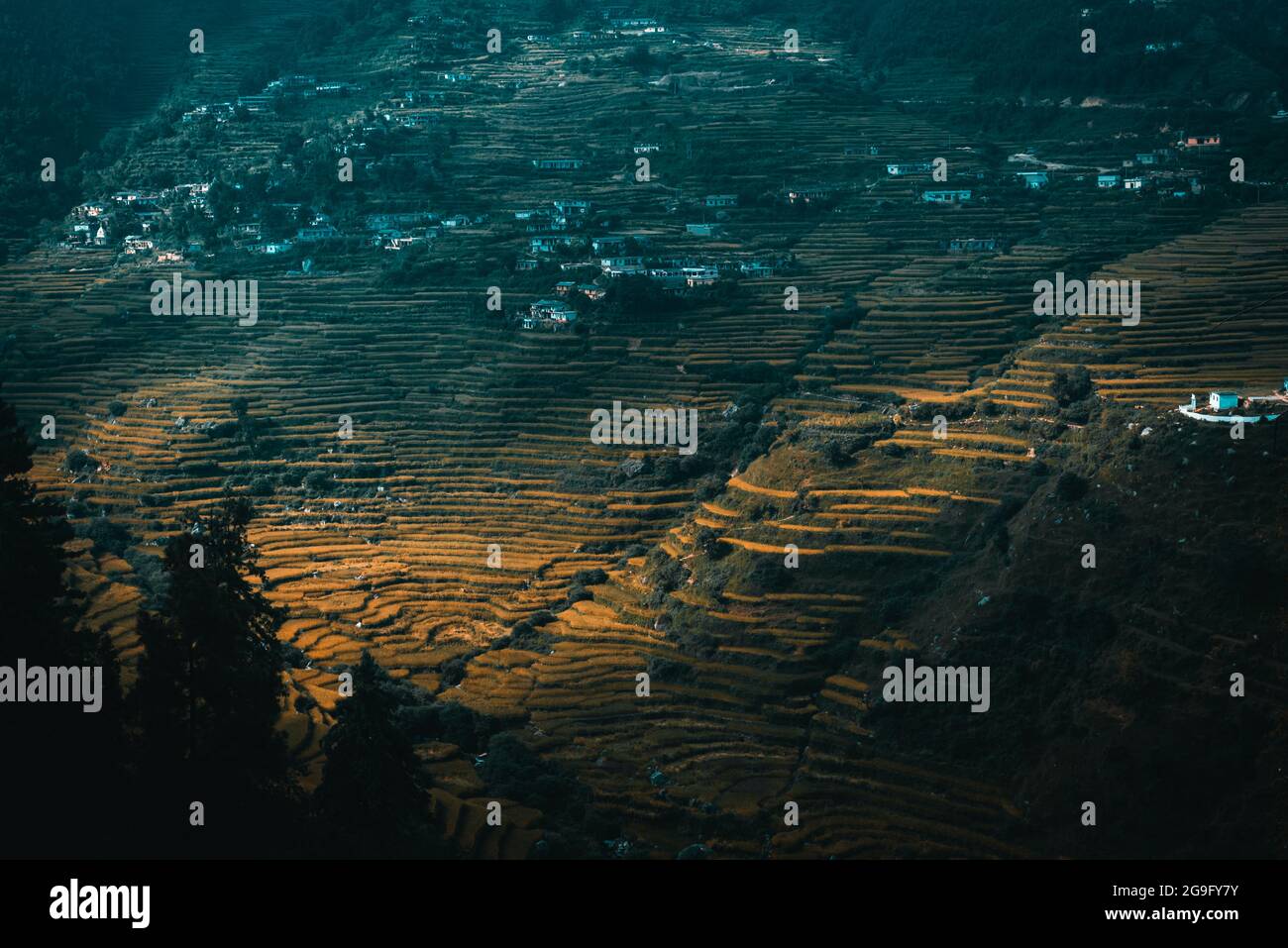 India step farming hi-res stock photography and images - Alamy