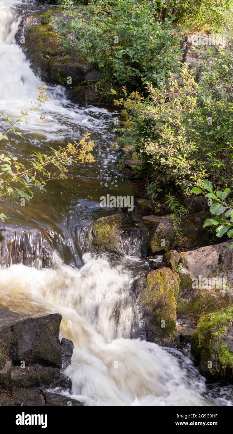 Brook cascade in Pusula, Finland Stock Photo - Alamy