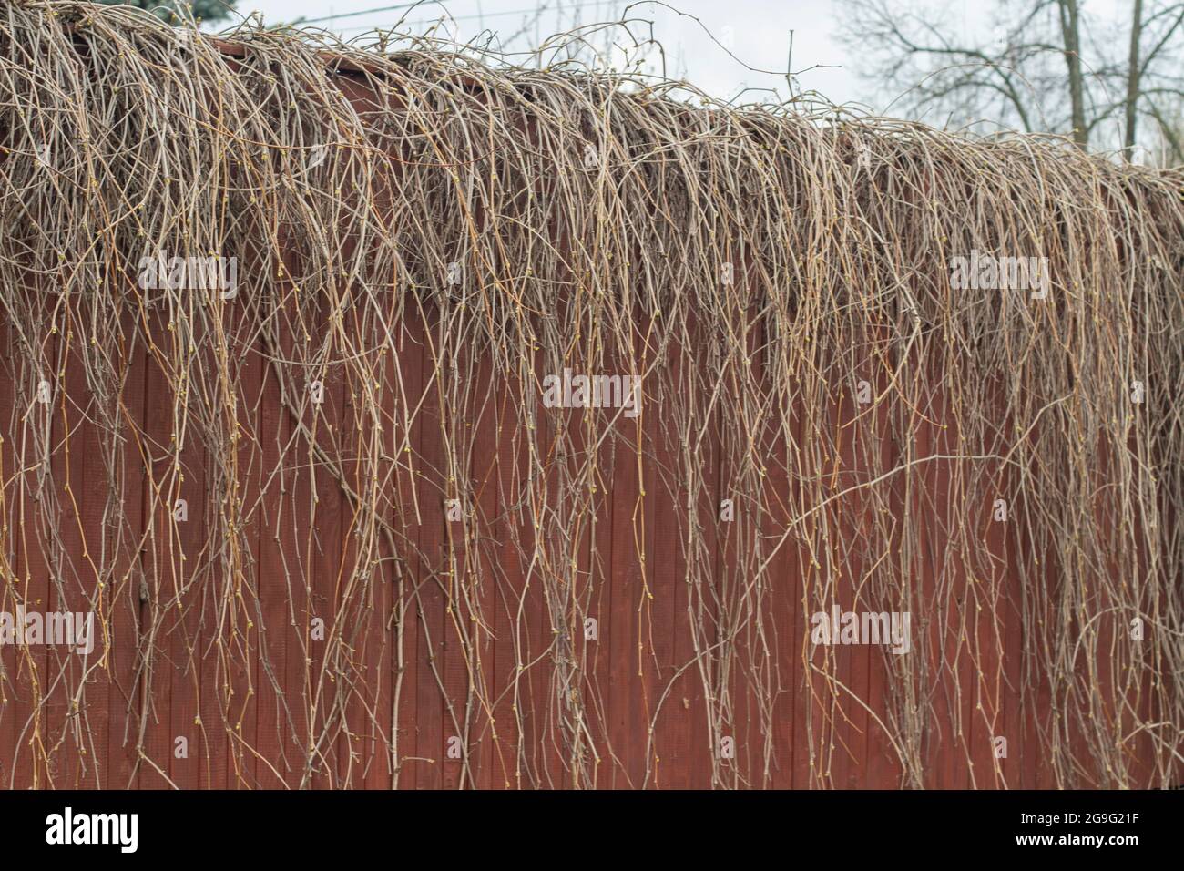 Material fencing. Wall surface. Fence on the street Stock Photo - Alamy