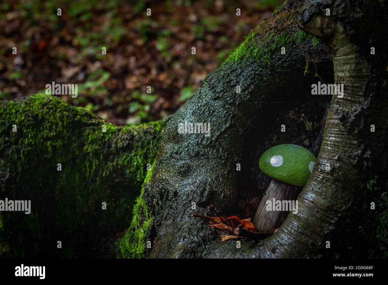 Green toadstool in tree stump curious forest details Stock Photo - Alamy