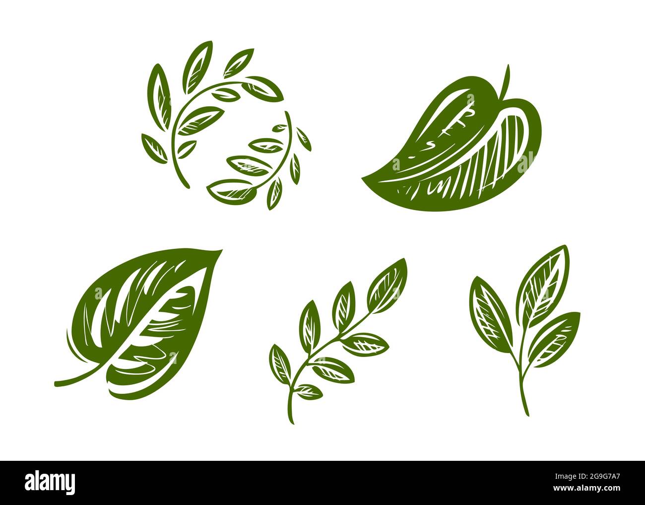 Set of green leaves. Natural, organic symbol vector illustration Stock ...