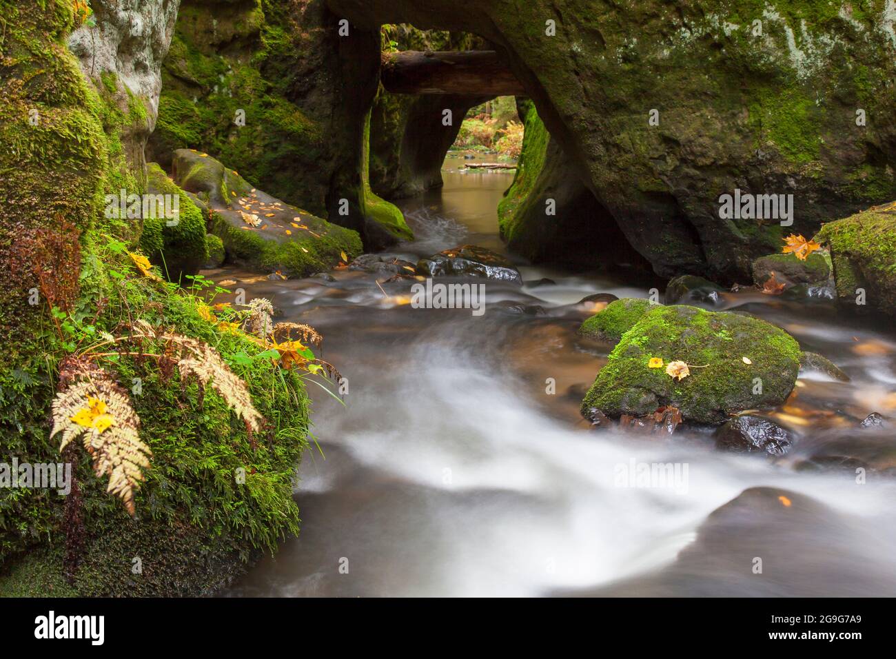 The river Kirnitzsch wends its way through the Khaa Valley in autumn ...