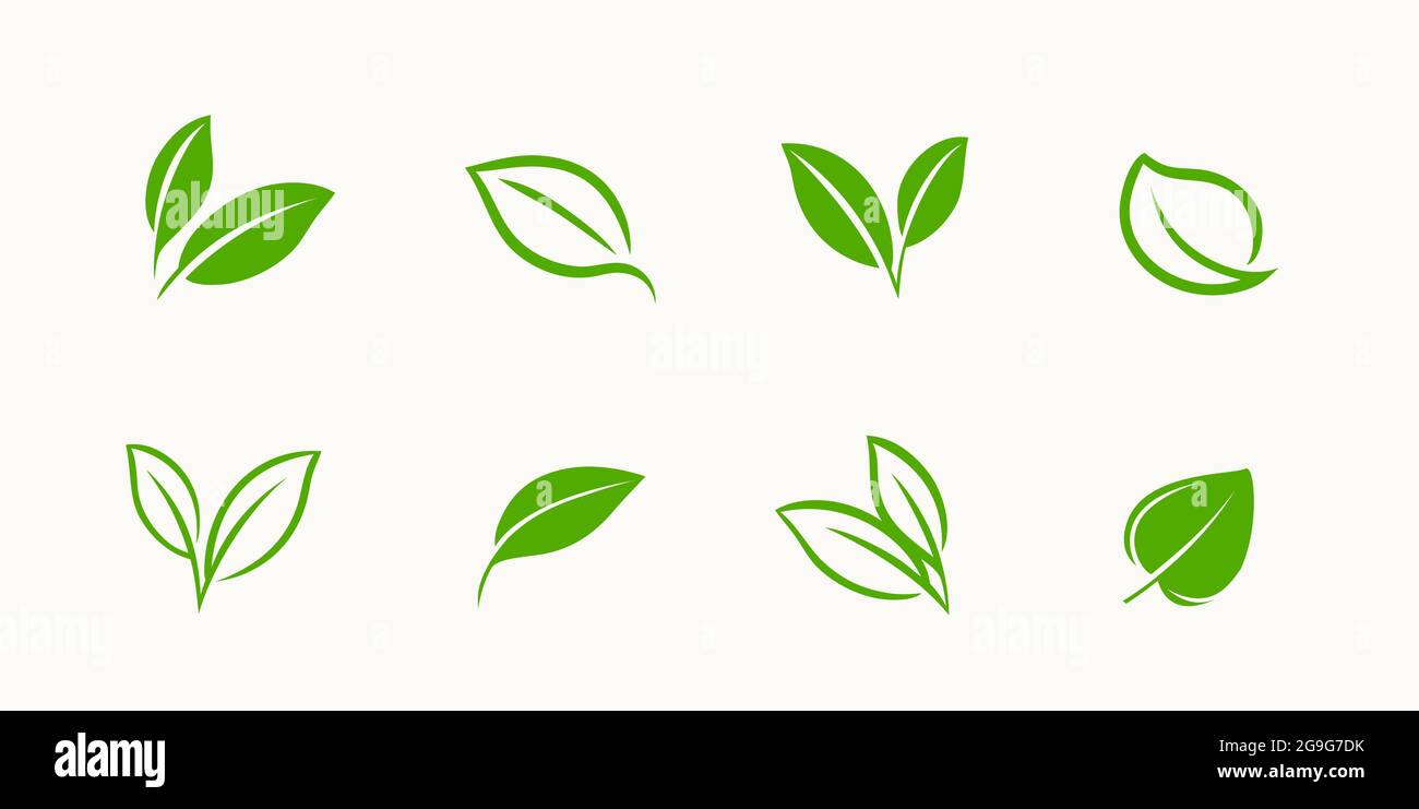 Green leaf icons set. Ecology, organic symbol vector illustration Stock ...
