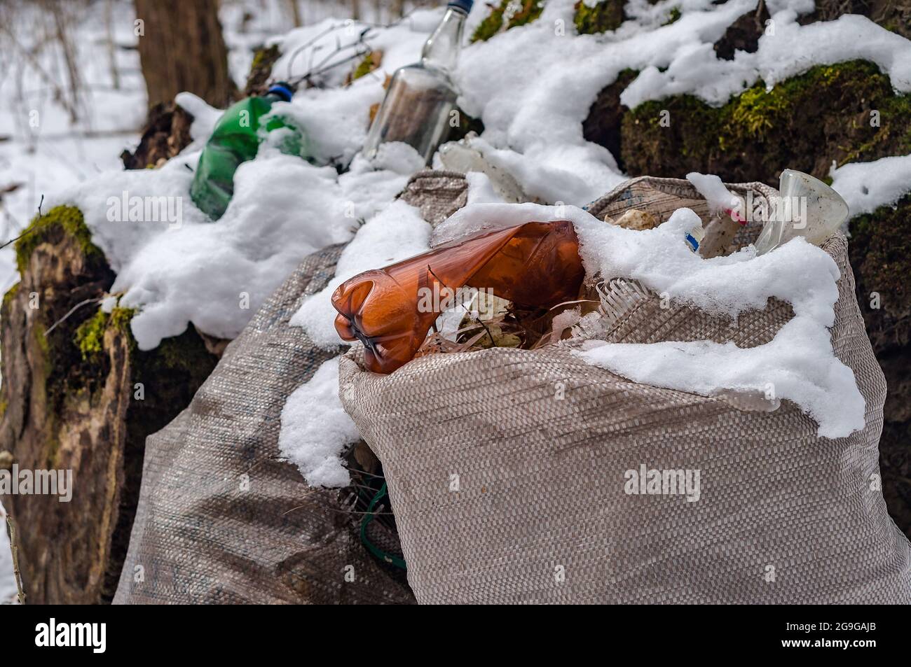 Bags of trash in the woods. Garbage in the forest in winter. Plastic ...