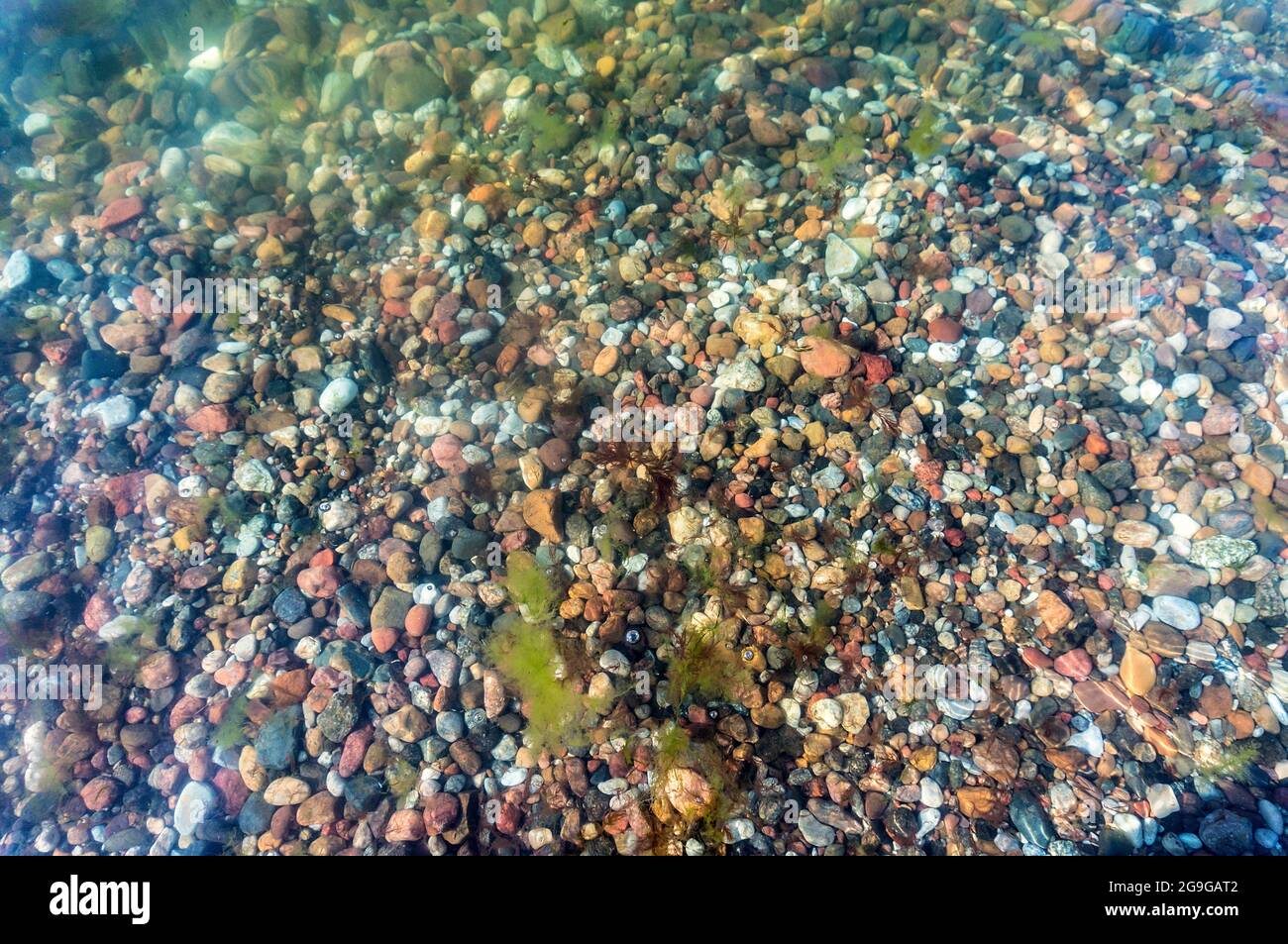 Texture sea pebbles. Natural stone background. Sea rocks under the ...