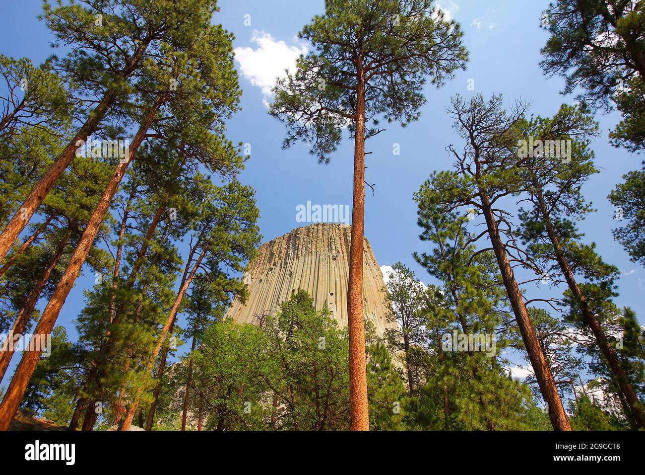 Devil's Tower National Monument, Wyoming Stock Photo - Alamy