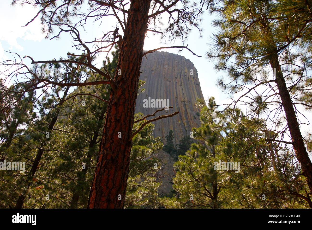 Devil's Tower National Monument, Wyoming Stock Photo - Alamy