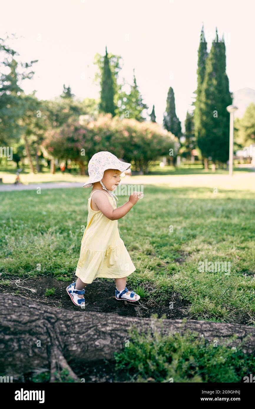 Little girl walks on the lawn at the roots of a tree Stock Photo - Alamy