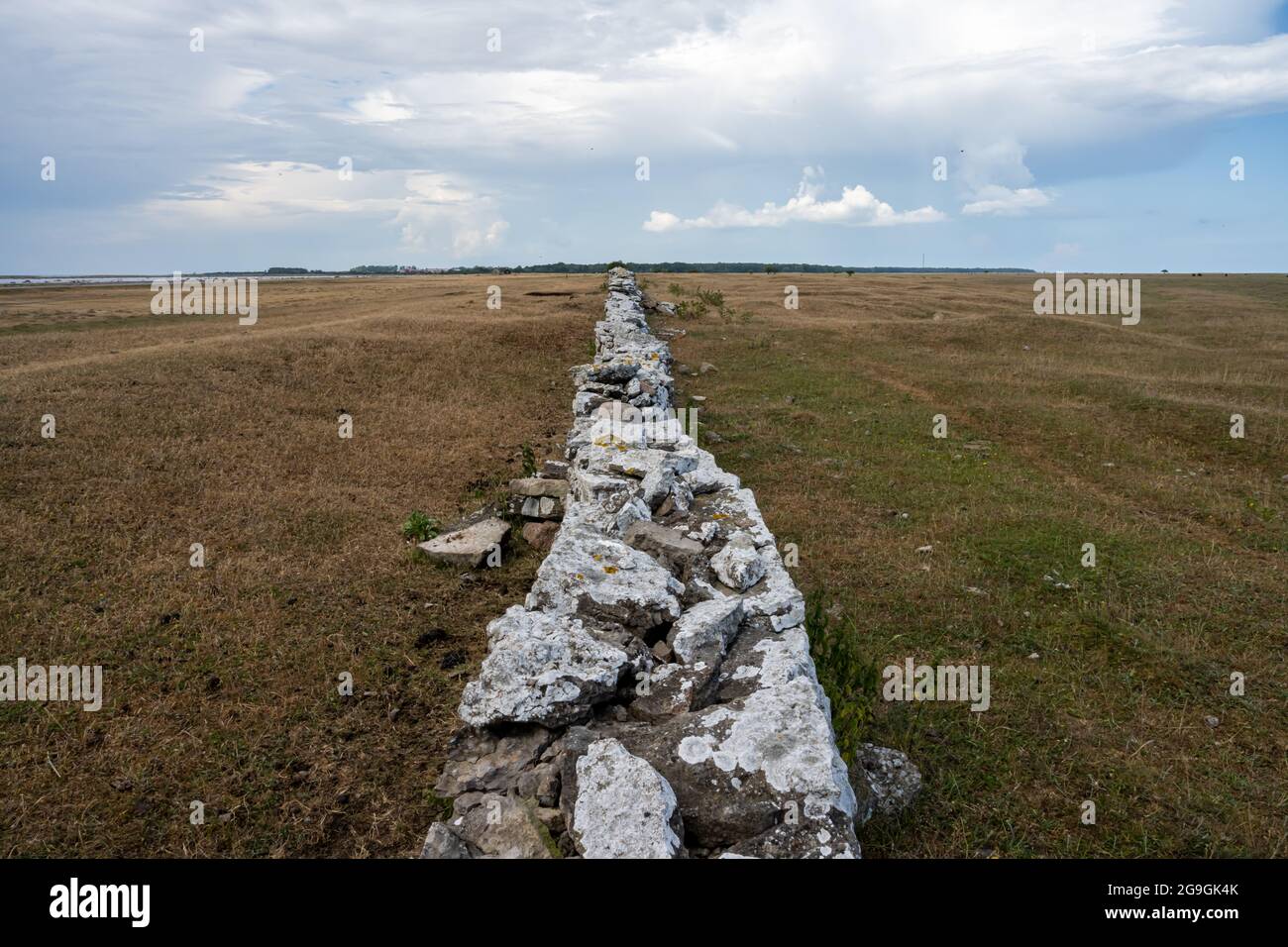 A limestone wall in a moor landscape. Picture from the Baltic Sea ...