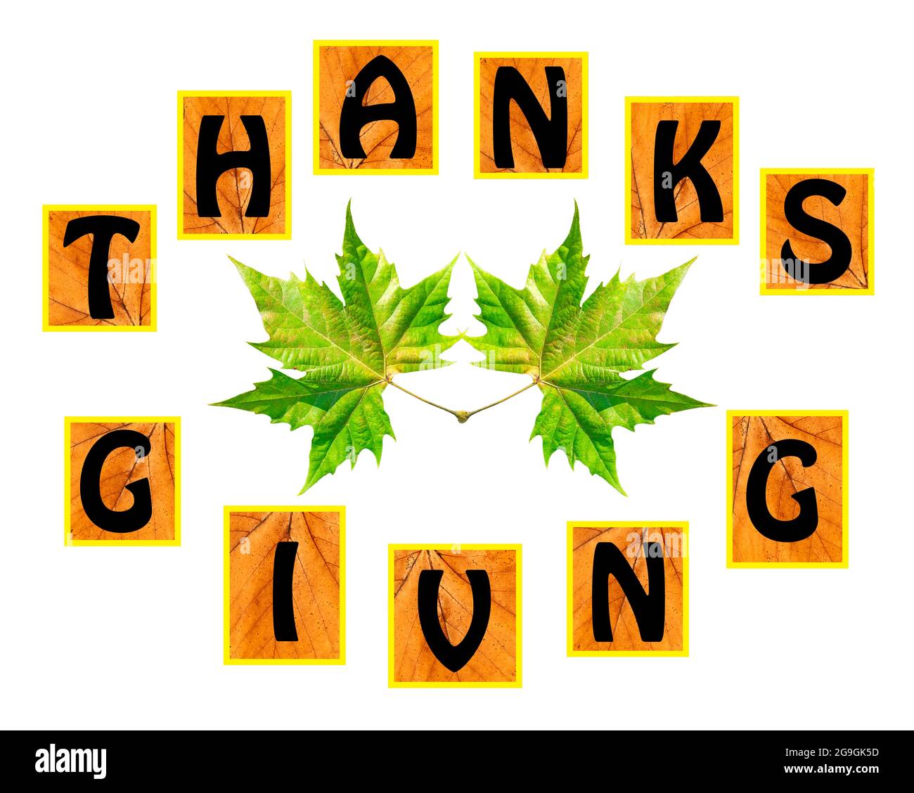 Card thanksgiving day on Cut Out Stock Images & Pictures - Alamy