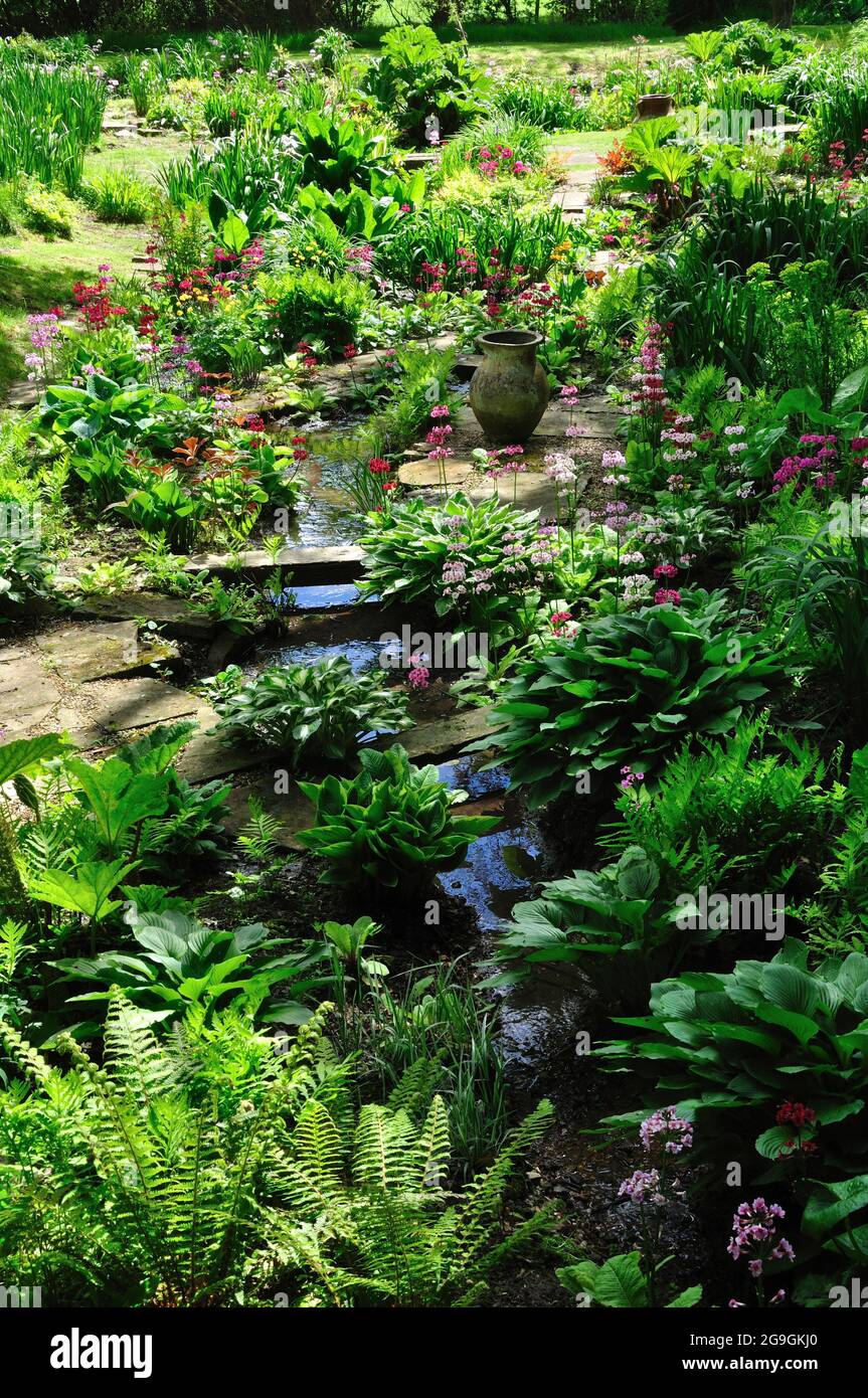 Bog garden hi-res stock photography and images - Alamy