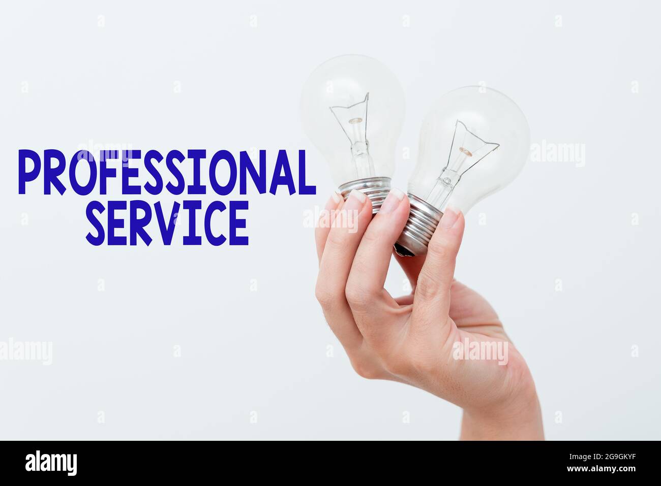 Sign displaying Professional Service. Business showcase requiring ...