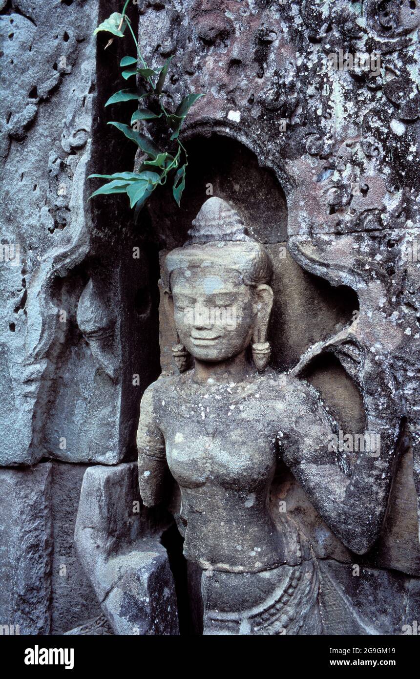 Meala hi-res stock photography and images - Alamy