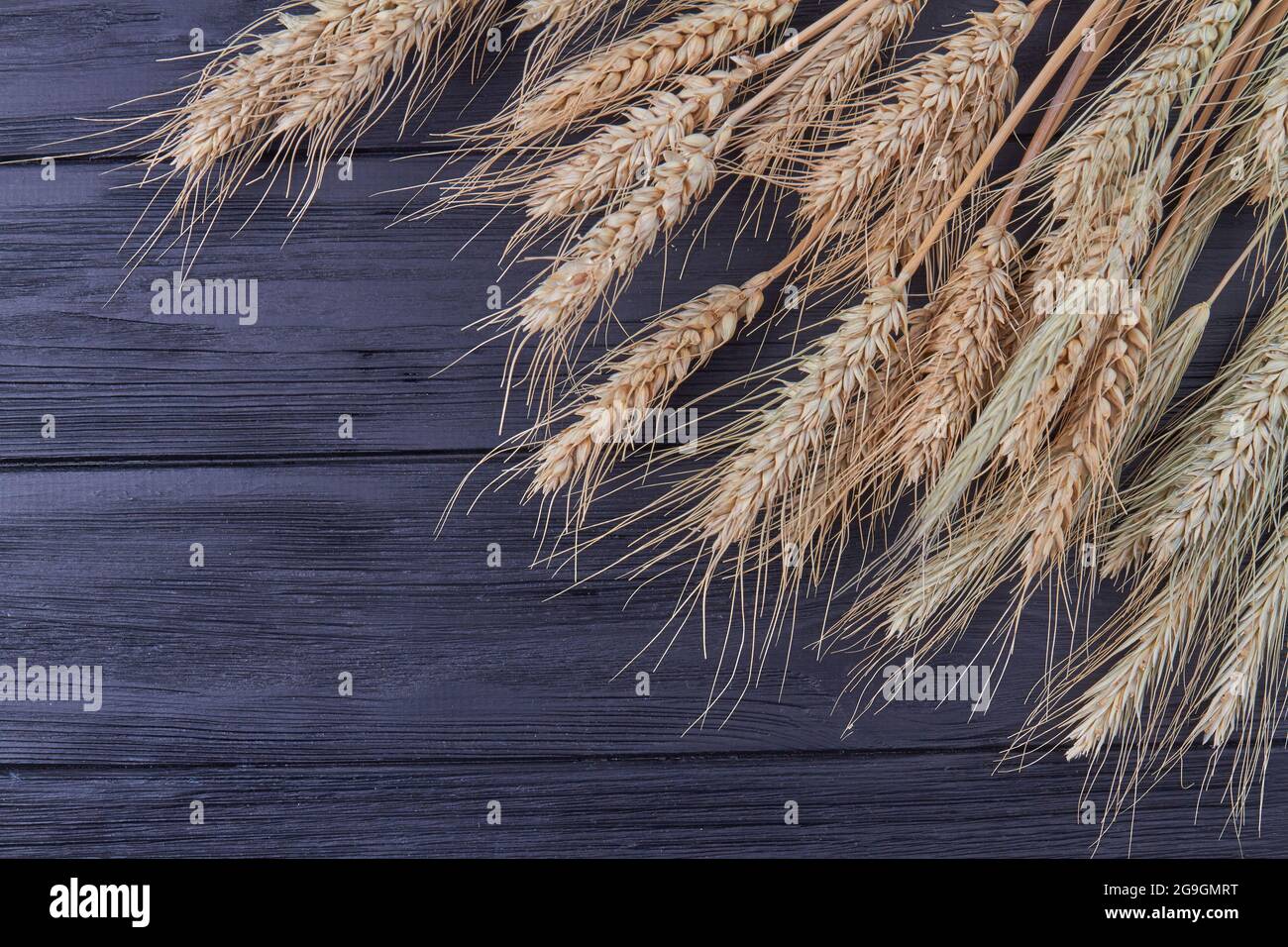 Close-up wheat grains on black wooden background Stock Photo - Alamy