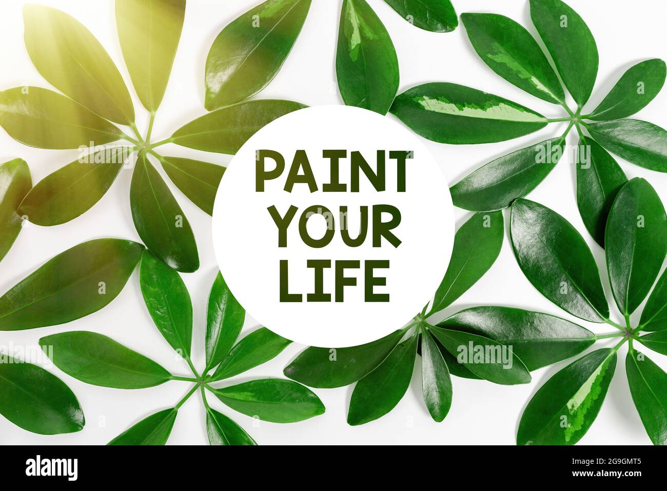 Optimistic theme hi-res stock photography and images - Alamy