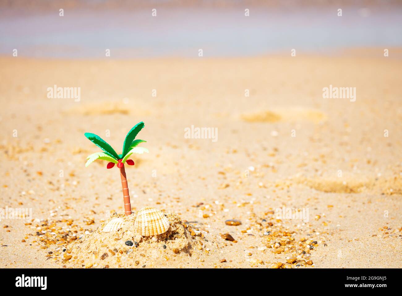 Miniature palm, seashell in sand desert close-up Stock Photo - Alamy