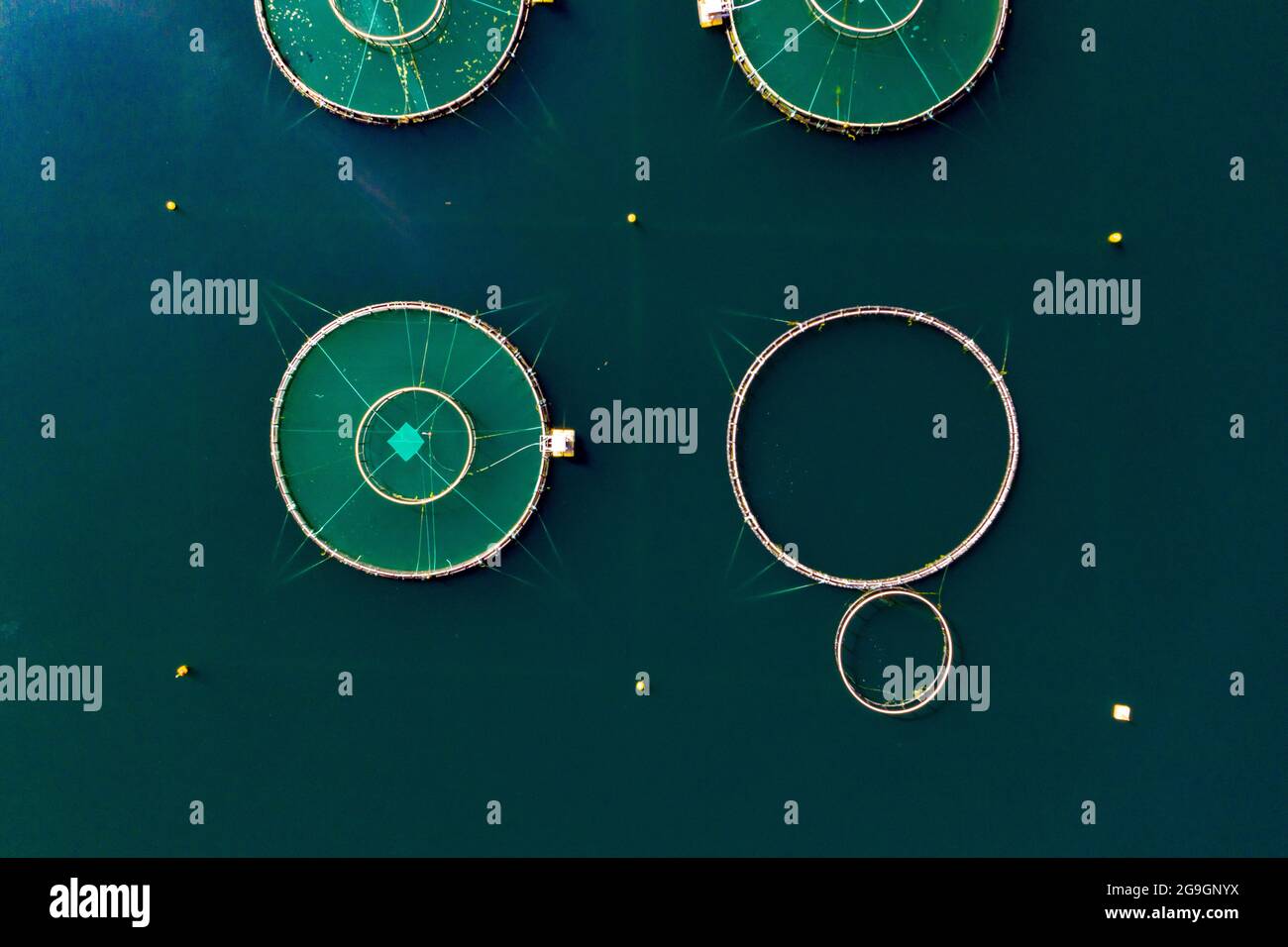 Produce fisherman agriculture hi-res stock photography and images - Alamy