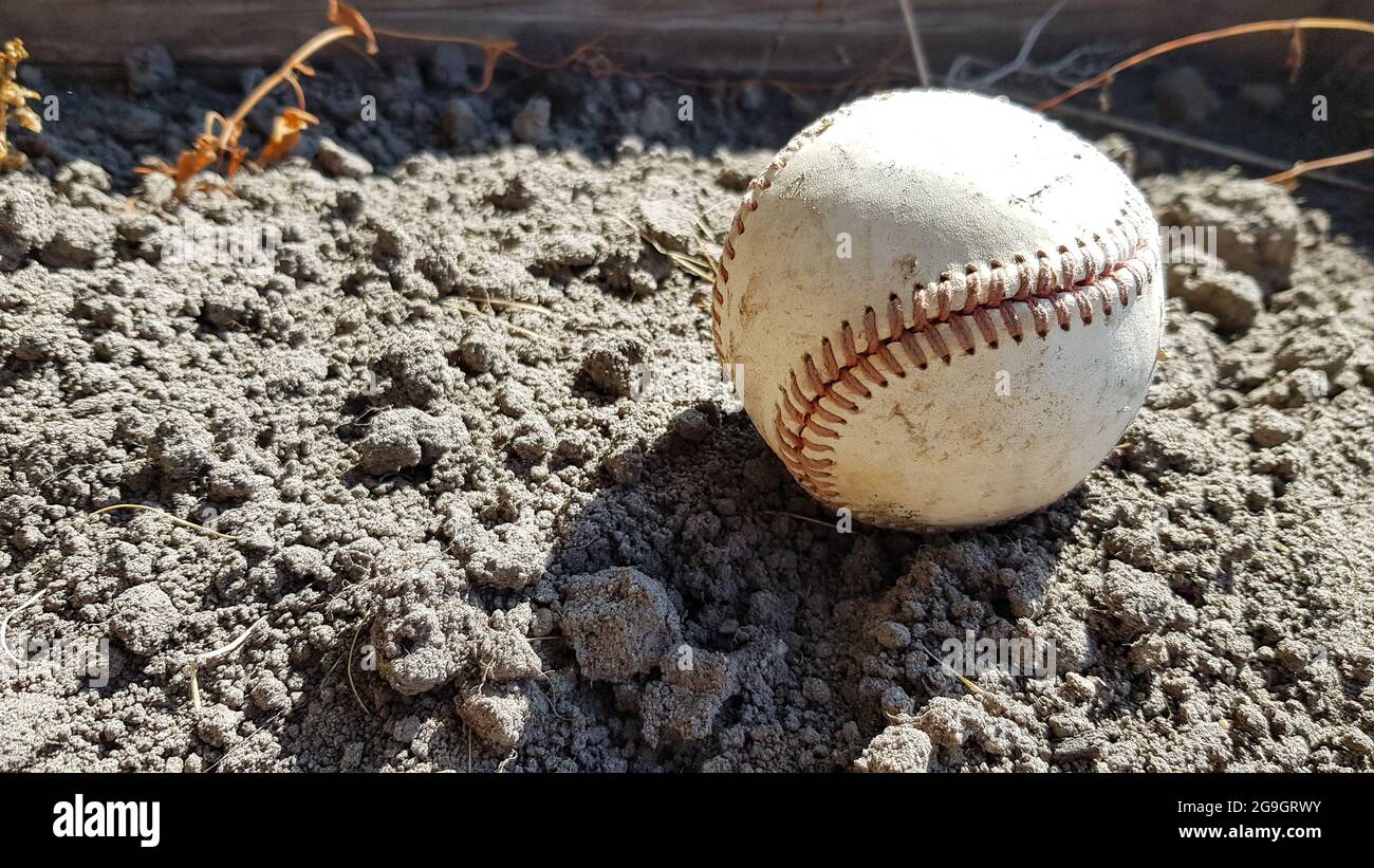 Closeup White leather textured baseball ball with red seams. Ball ...