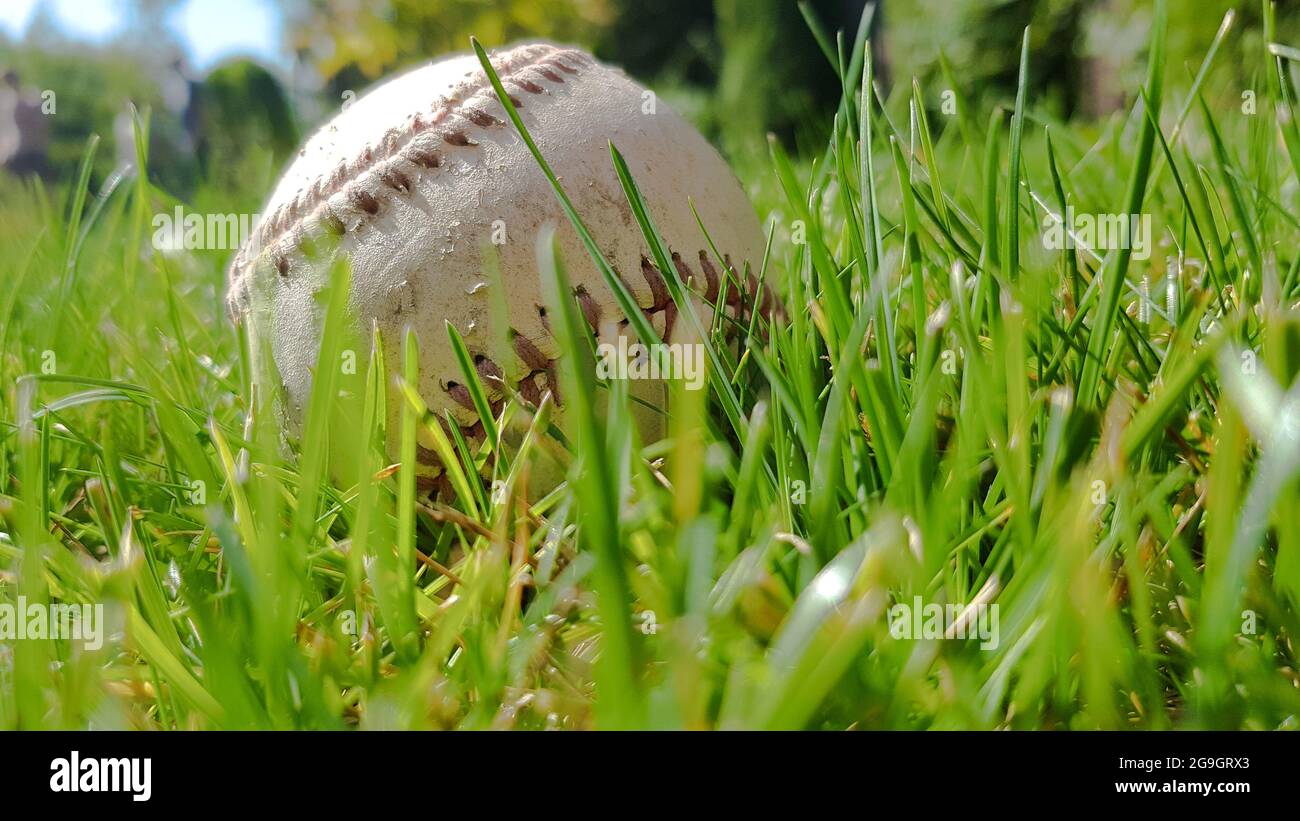 White old baseball ball on fresh green grass with copy space closeup ...