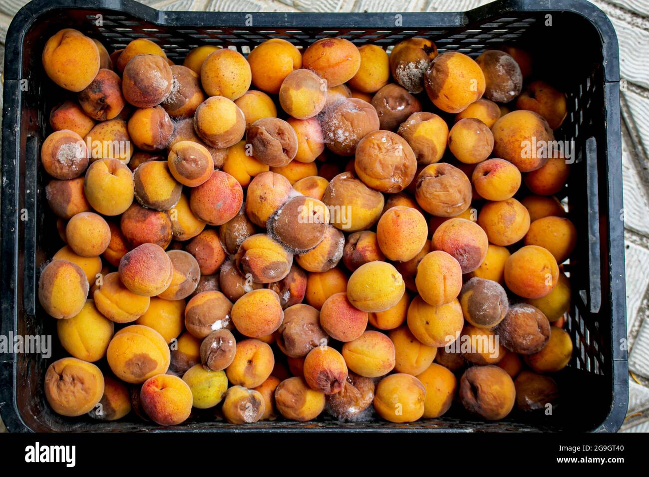 Rotten fruits hi-res stock photography and images - Alamy