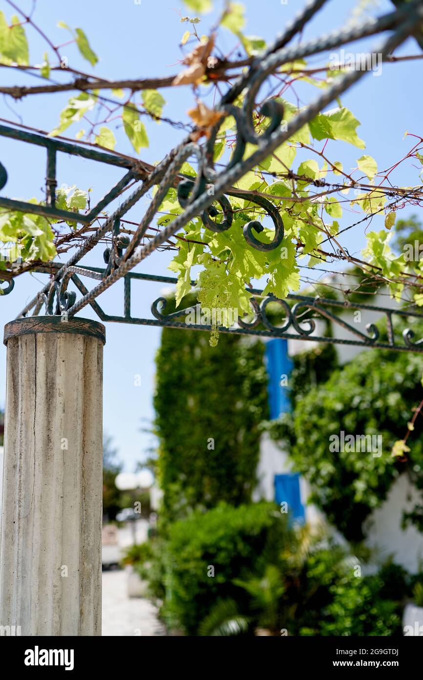 Steel braiding hi-res stock photography and images - Alamy