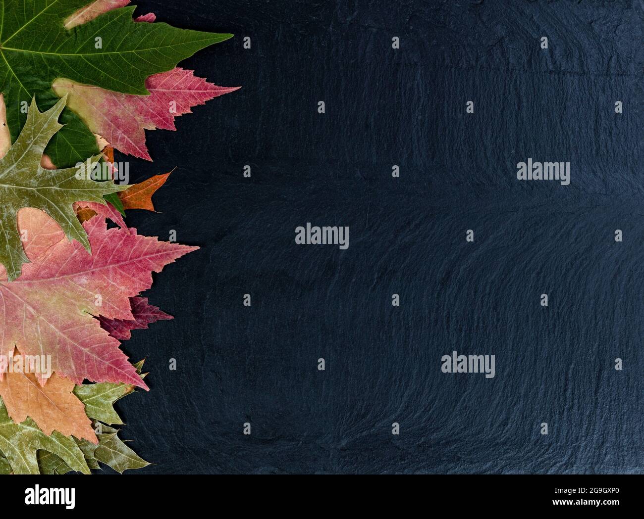 Rustic leaves hi-res stock photography and images - Alamy
