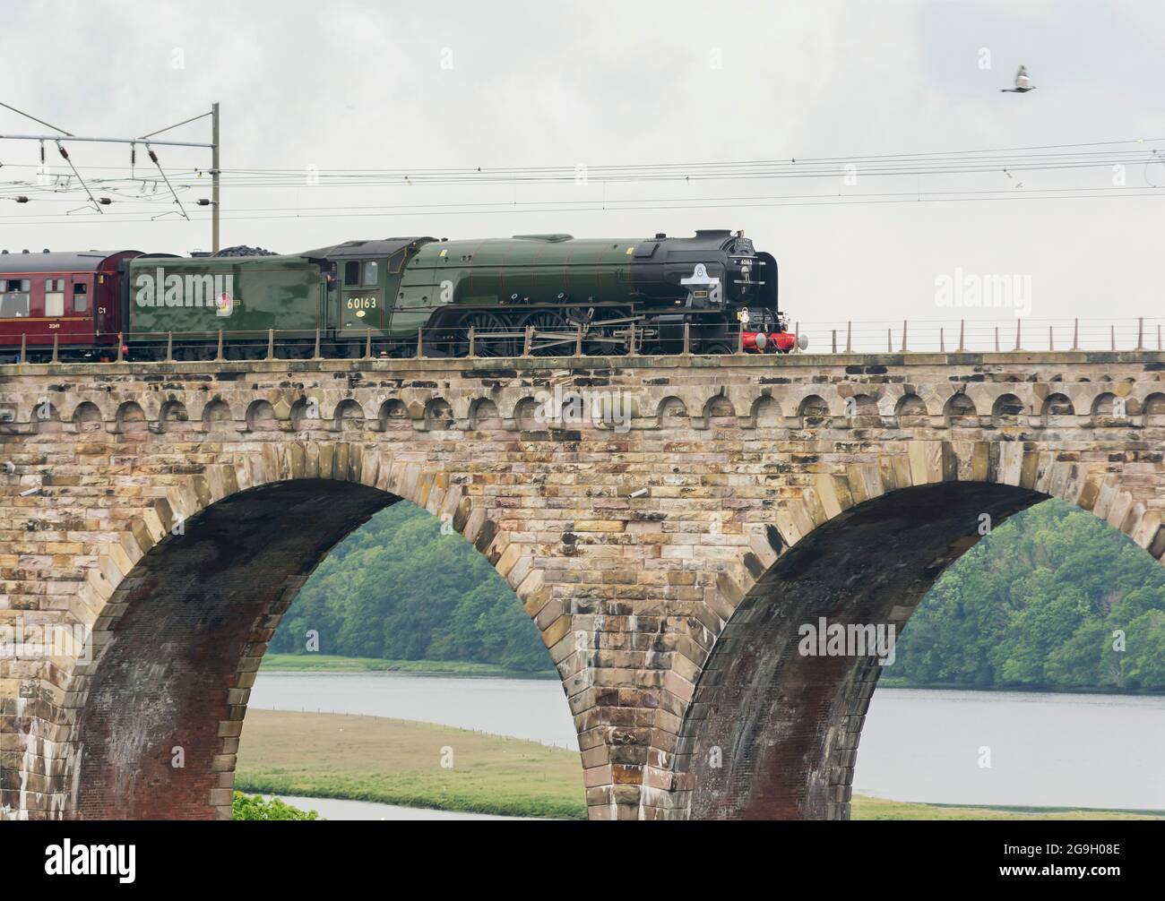 The Tornado Class A1 steam engine and heritage carriages train ...