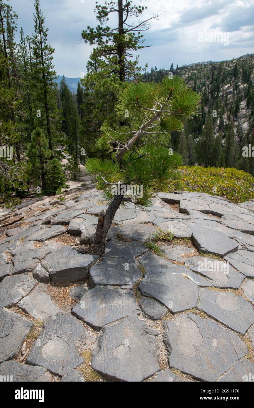 Devil's Postpile National Monument features unique basalt formations ...