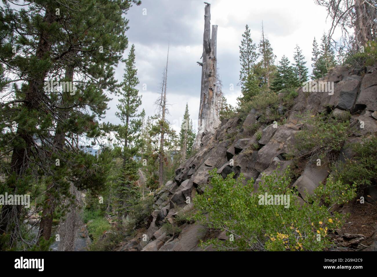 Devil's Postpile National Monument features unique basalt formations ...