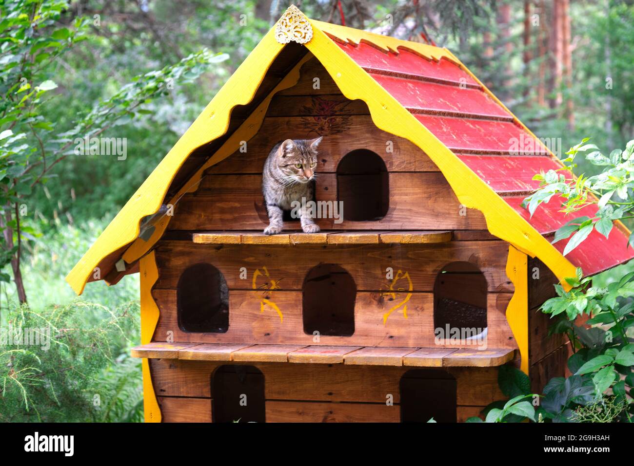 Wooden shelter for animals hi-res stock photography and images - Alamy