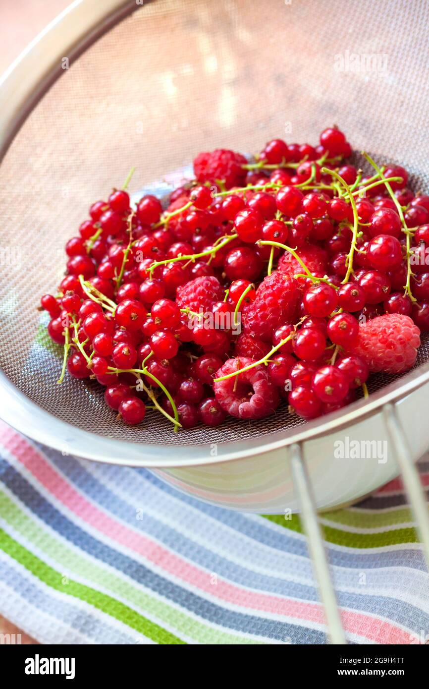 Fresh berries in a sieve Stock Photo - Alamy