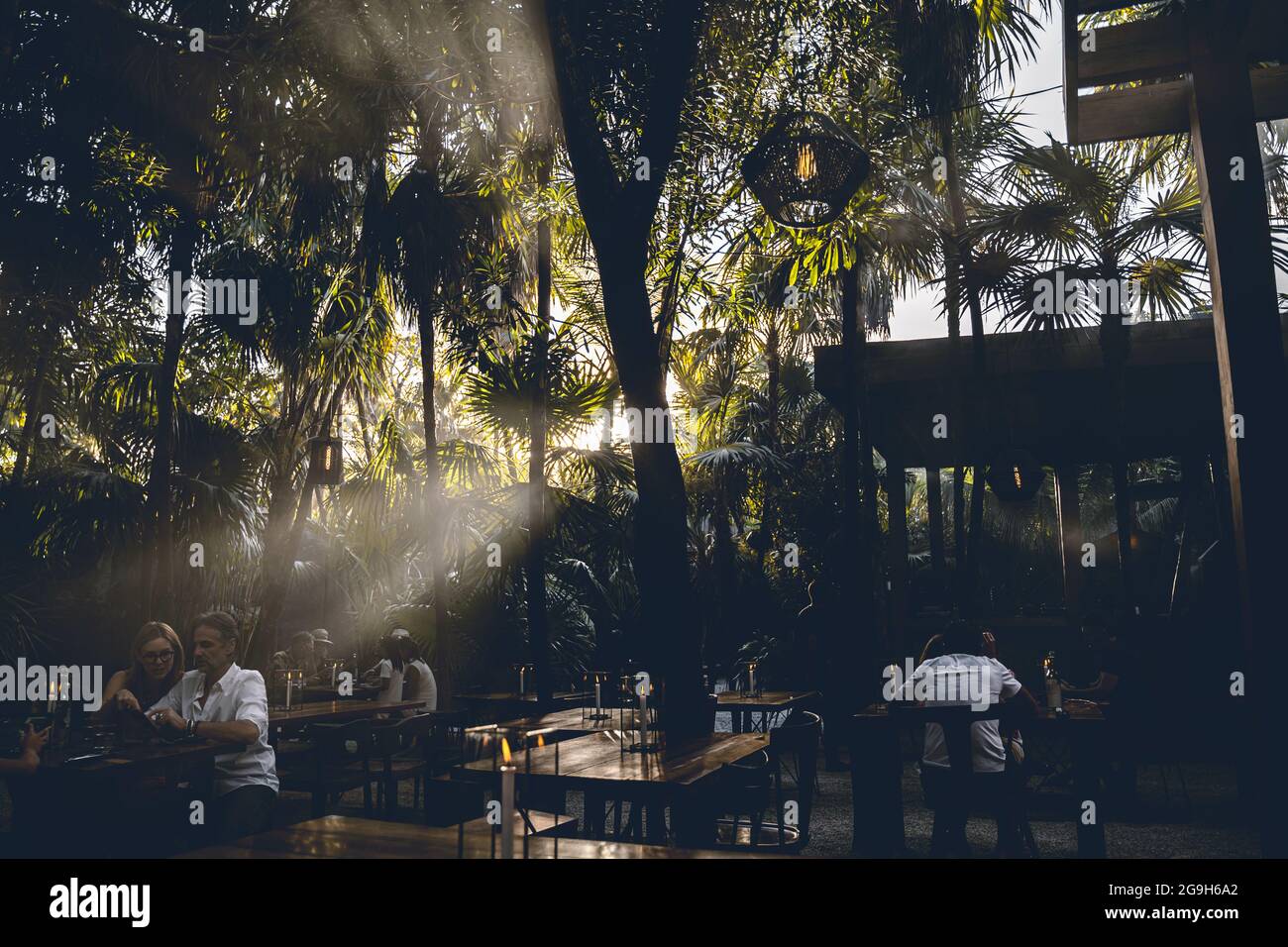 Jungle Restaurant at Sunset Stock Photo - Alamy