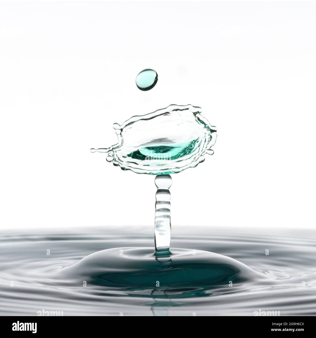 Close-up photograph of two water droplets colliding making an unusual ...