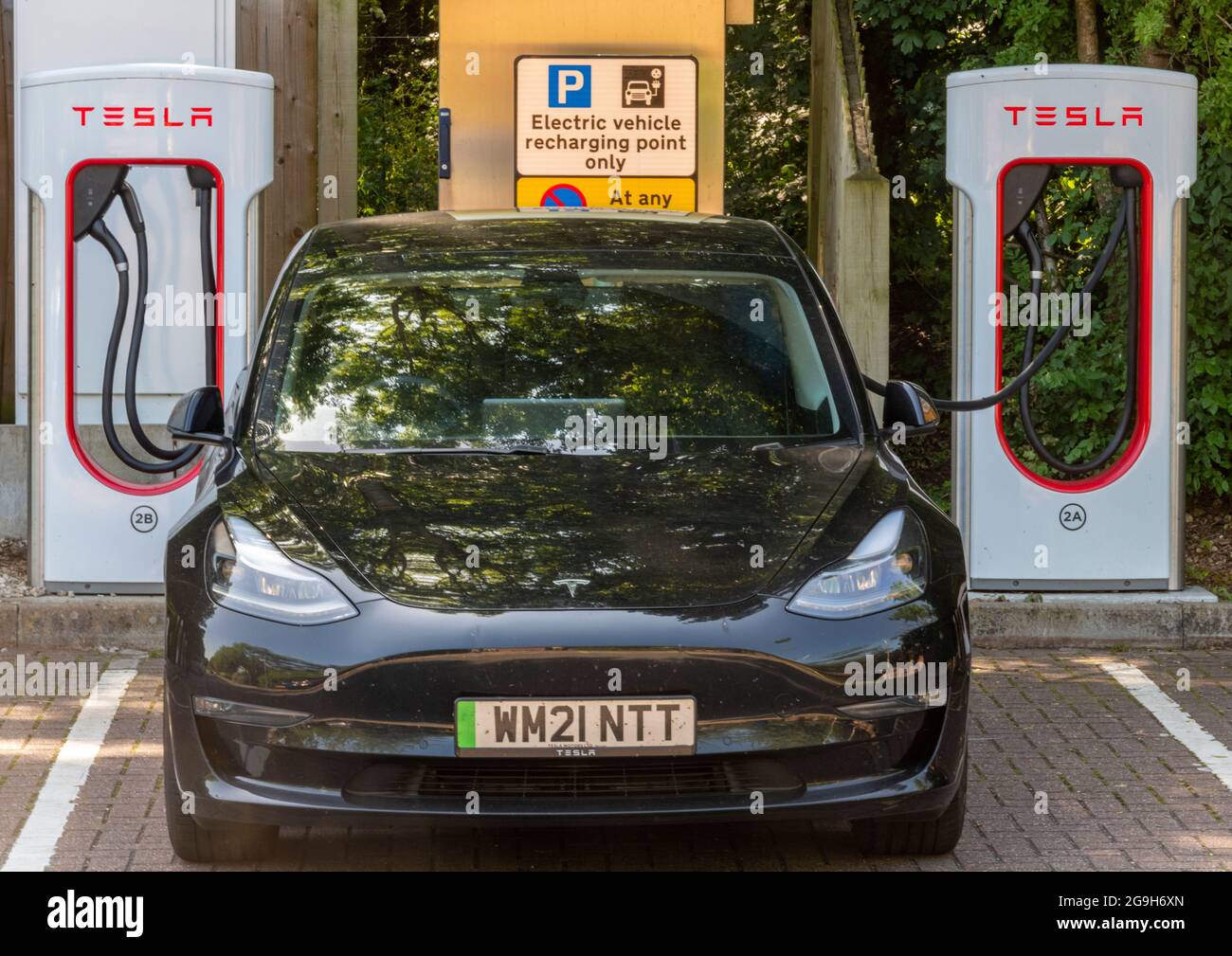 tesla electric car, recharging car, car plugged in to charging point ...