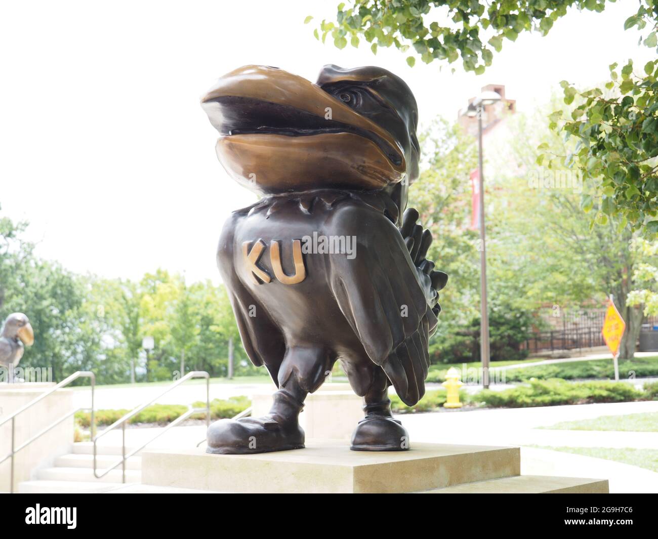 University of kansas natural history museum natural history hi-res ...