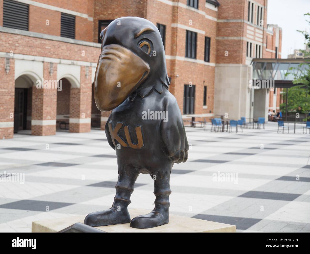University of kansas natural history museum natural history hi-res ...