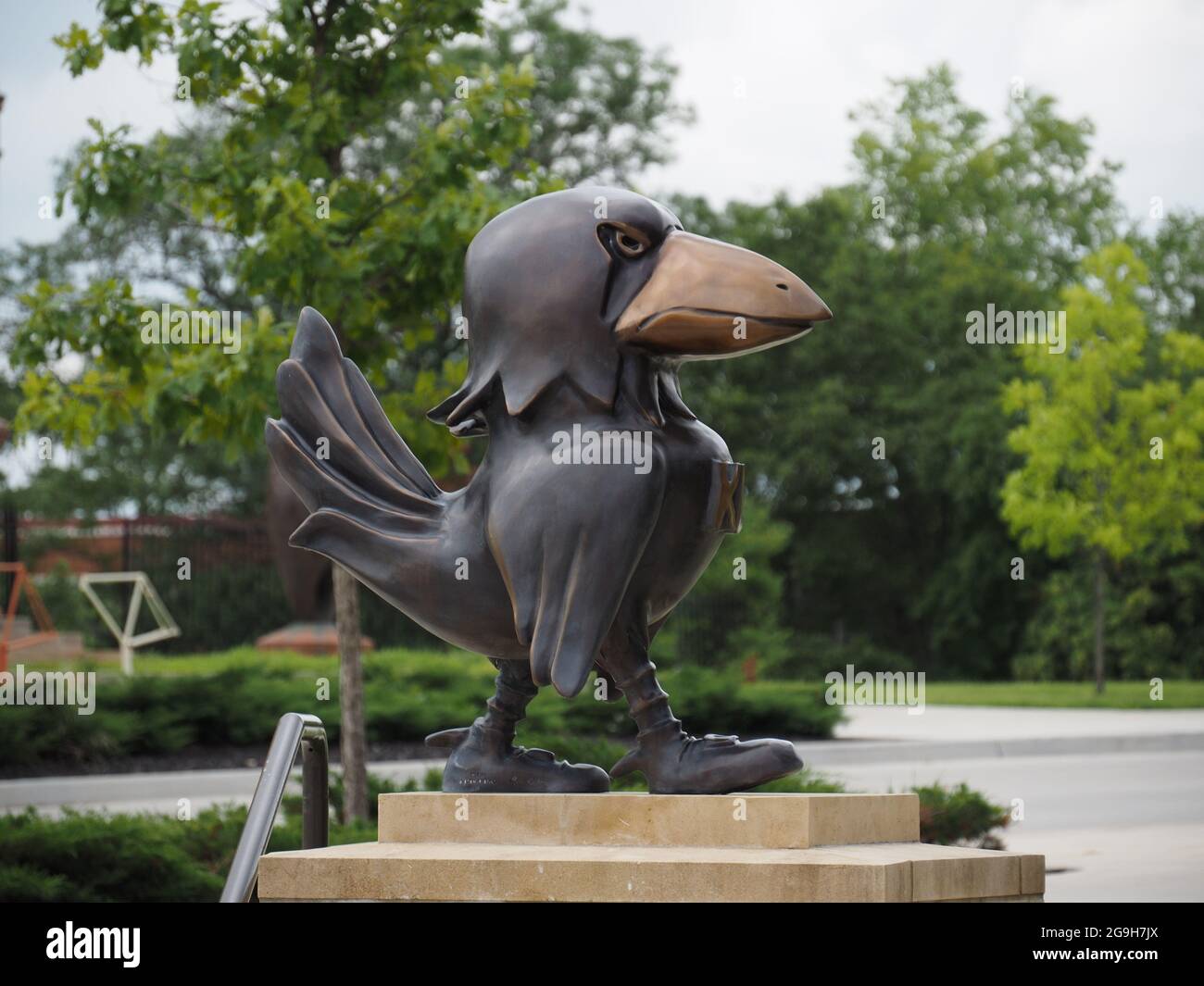 University of kansas natural history museum hi-res stock photography ...