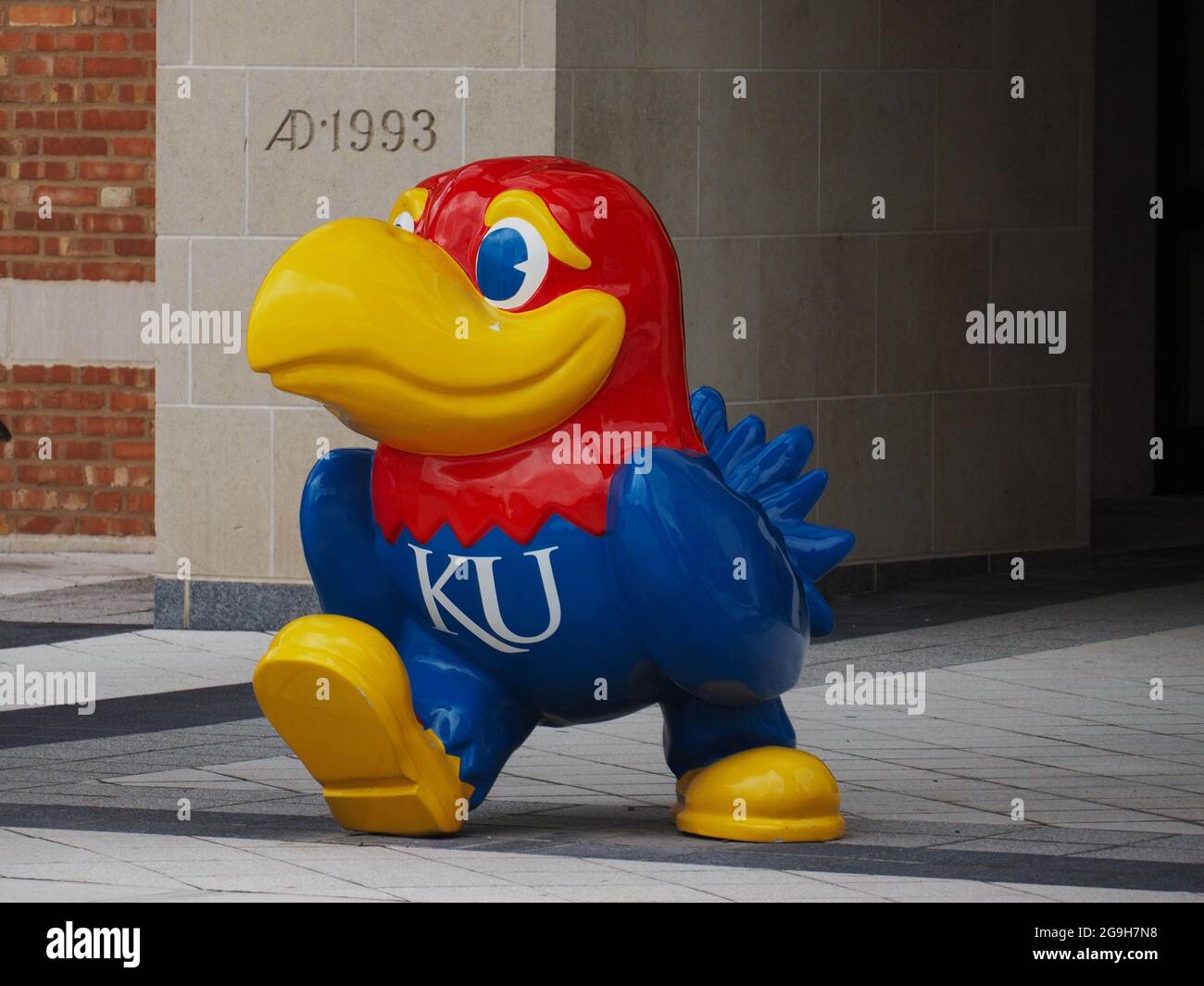 University of kansas natural history museum hi-res stock photography ...