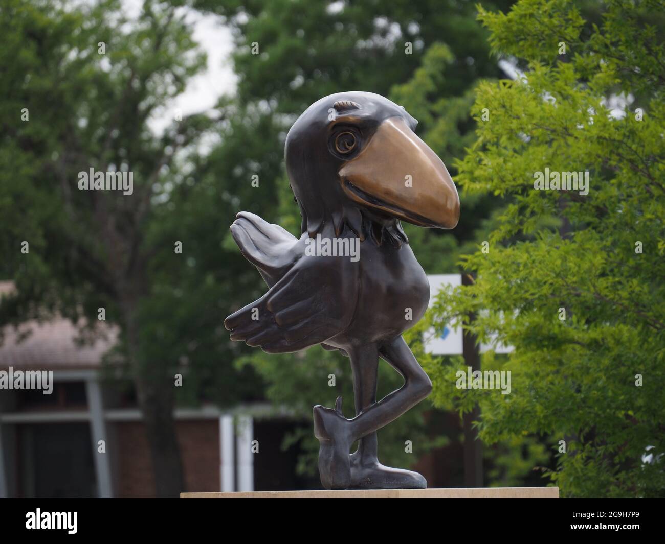 LAWRENCE, UNITED STATES - Jul 10, 2021: A KU Jayhawks statue at the ...