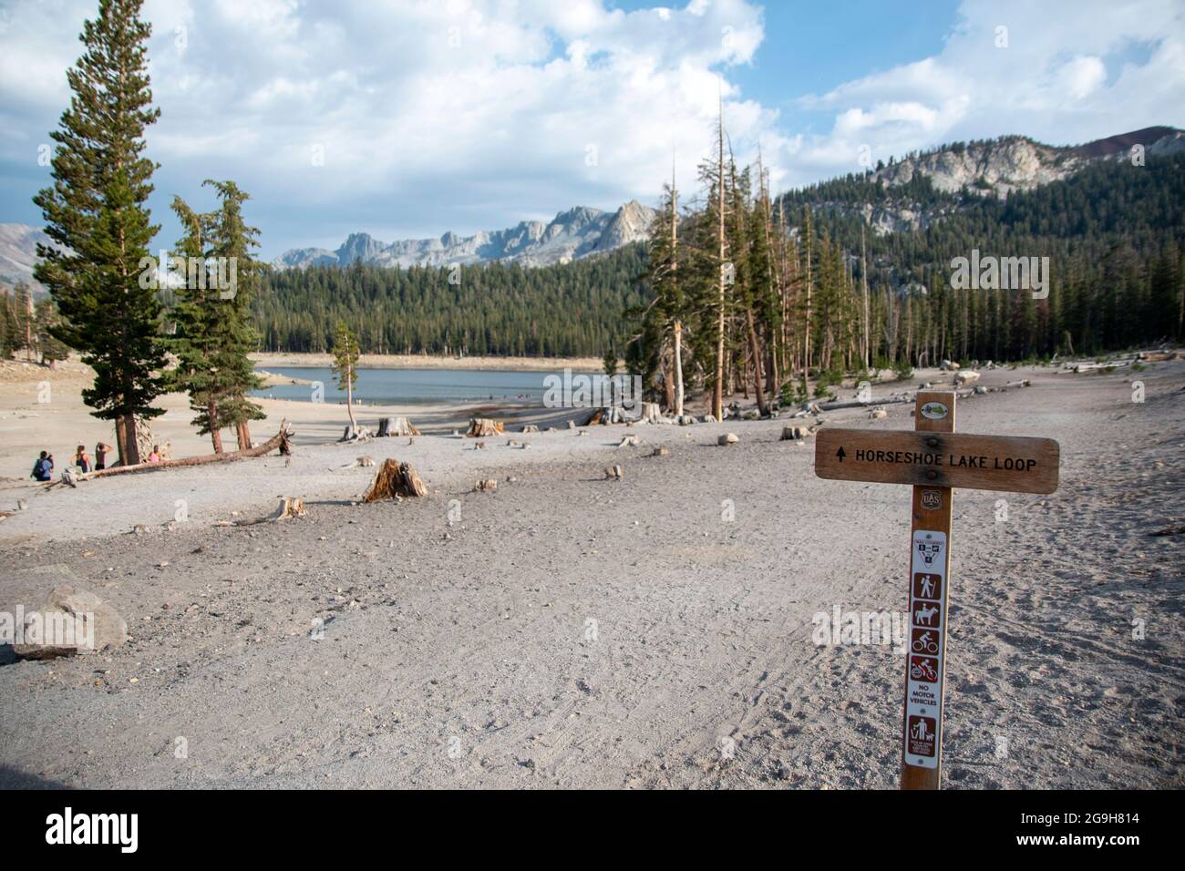 Suffocated roots hi-res stock photography and images - Alamy