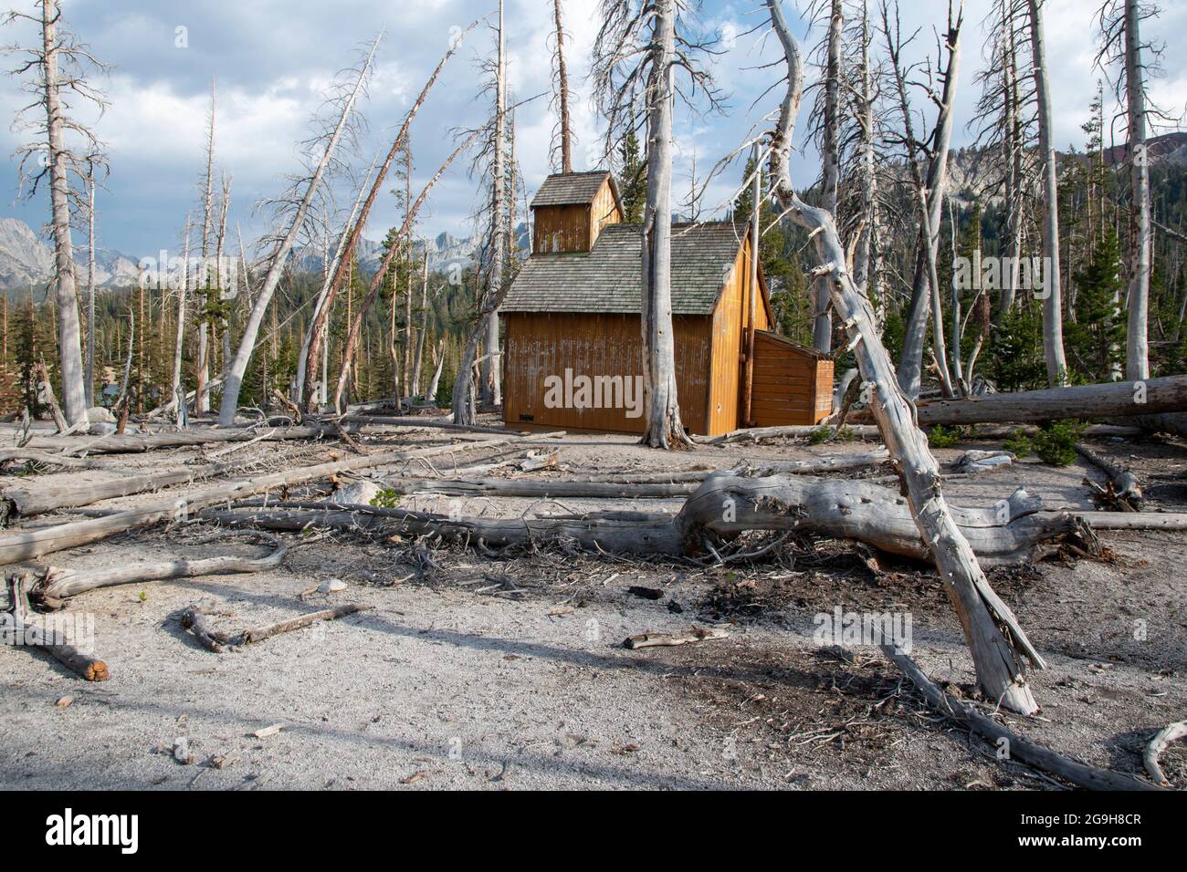 Many dead trees surround Horseshoe Lake in Mono County, CA, USA because ...