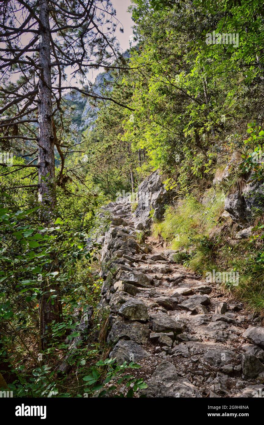 ancient hiking path in the woods, Italy, Monte Rocchetta, Bastione ...